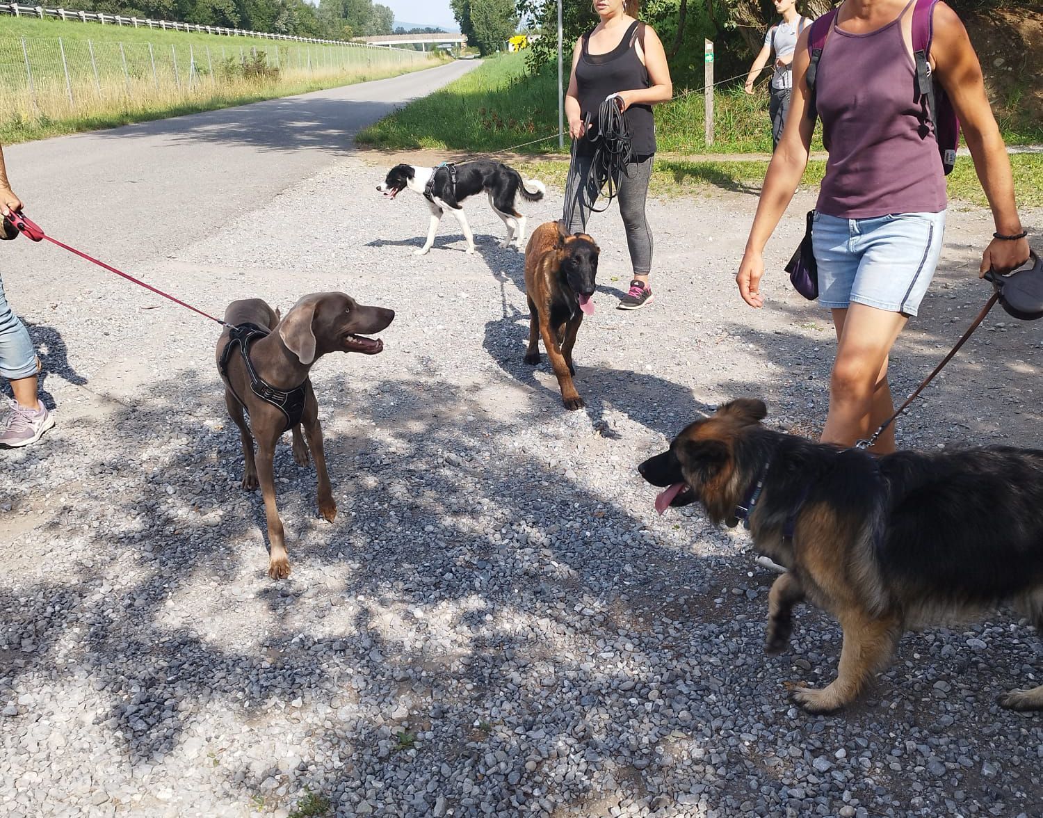 Univers chien - Centre de bien-être canin et humain - EmmeneTonChien.com